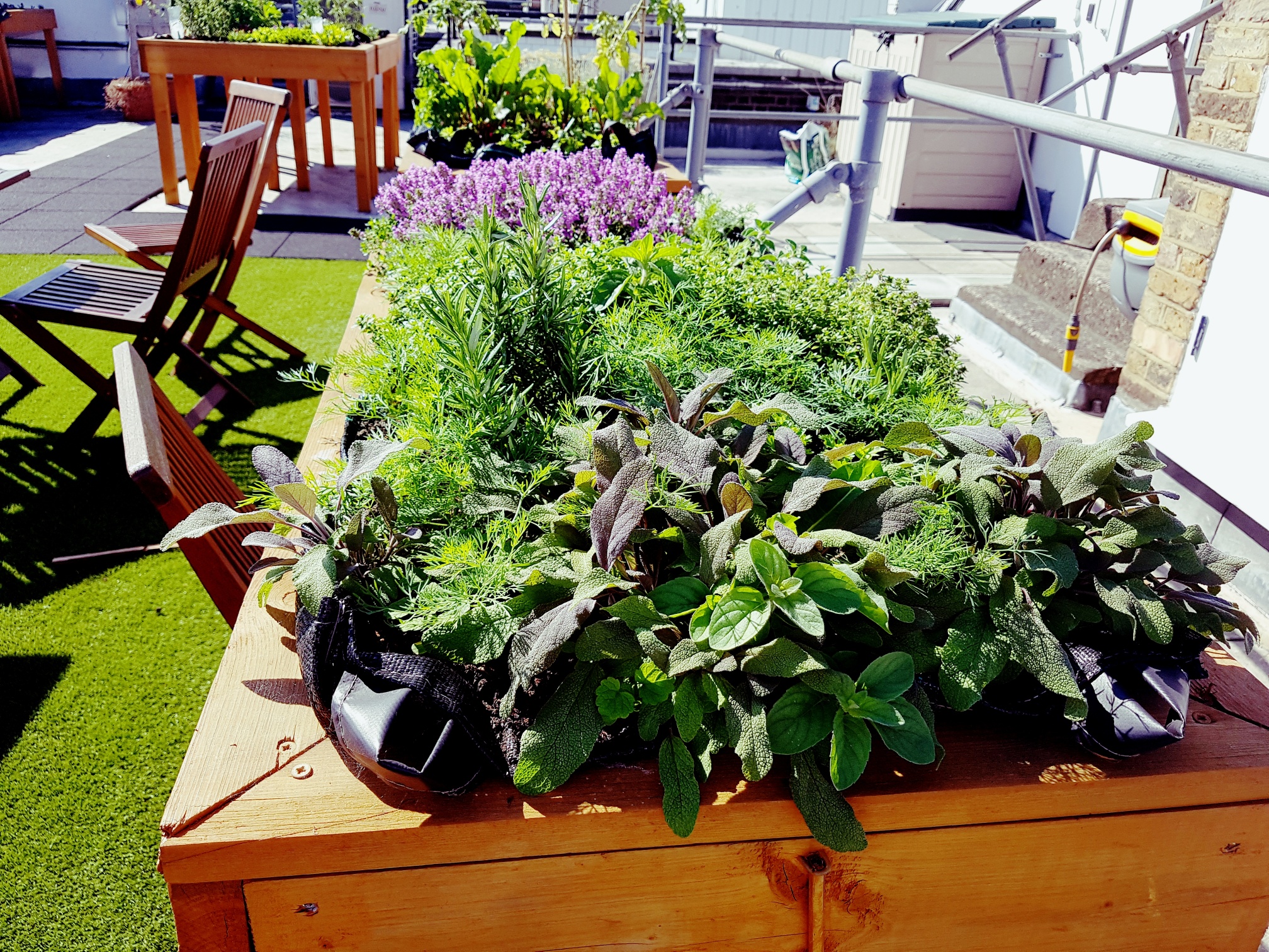 The top three benefits of growing your own fruit and vegetables The top three benefits of growing your own fruit and vegetables